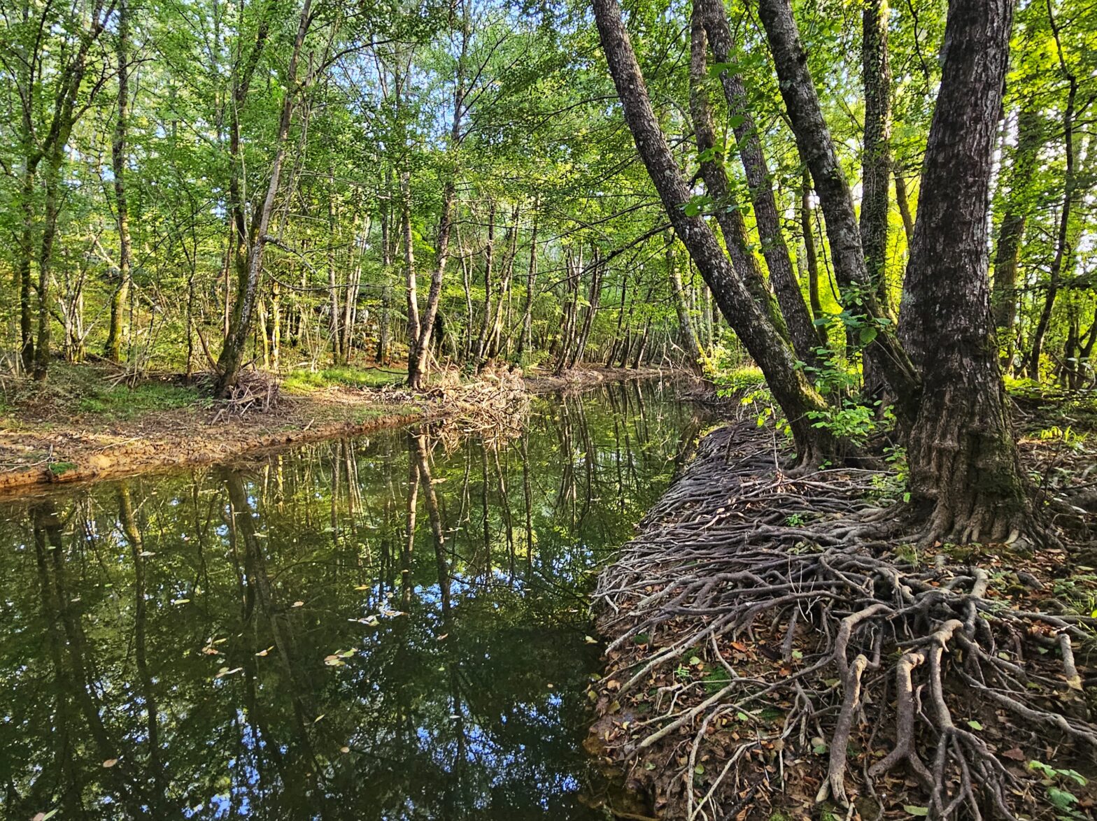 Poučna staza Ričica - Zir Zen